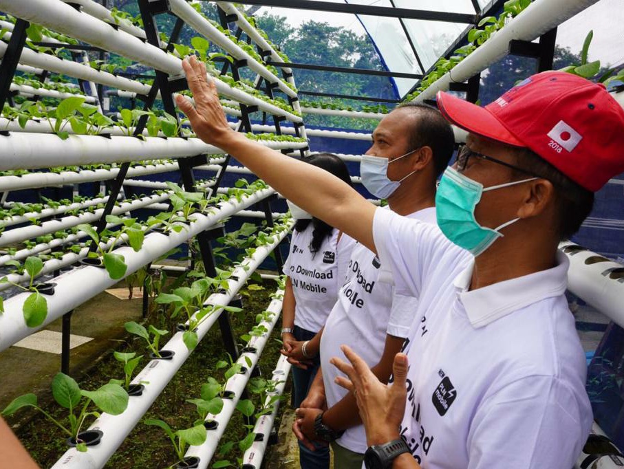 Electrifying Agriculture Cara PLN UID Bali Dorong Modernisasi Pertanian ...