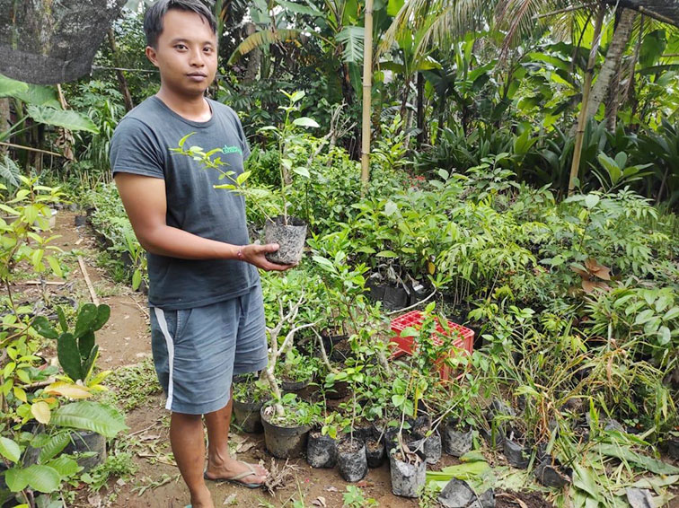 Ditetapkan sebagai Maskot Bangli, Permintaan Bunga Pucuk Bang Meningkat ...