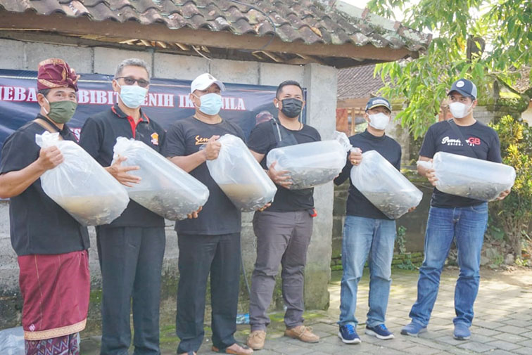 Jaga Keseimbangan Alam, Semeton GB Desa Darmasaba Sebar Benih Ikan ...