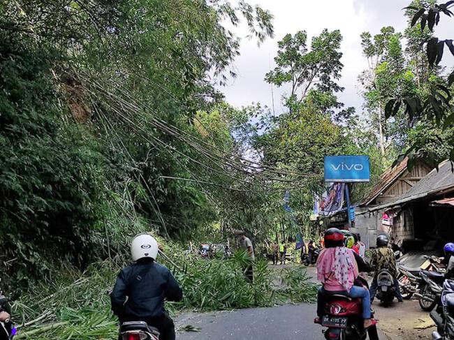 Rumpun Bambu Longsor Tutup Badan Jalan di Desa Jehem - PATROLIPOST Rumpun Bambu Longsor Tutup Badan Jalan di Desa Jehem - PATROLIPOST
