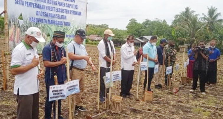 Kerja Sama dengan Bank NTT, Pemkab Matim Rintis Program TJPS - PATROLIPOST
