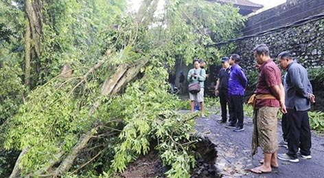 Tanah Longsor dan Pohon Tumbang Tutup Akses Menuju Pura Dalem - PATROLIPOST