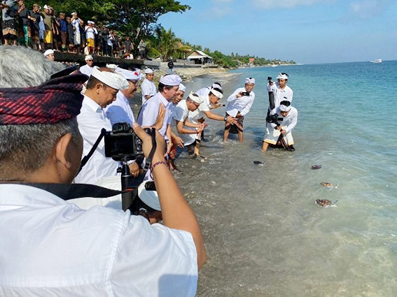 Perayaan Rahina Tumpek Uye Warga Gelar Upacara Segara Kerthi di Pantai ... Perayaan Rahina Tumpek Uye Warga Gelar Upacara Segara Kerthi di Pantai ...