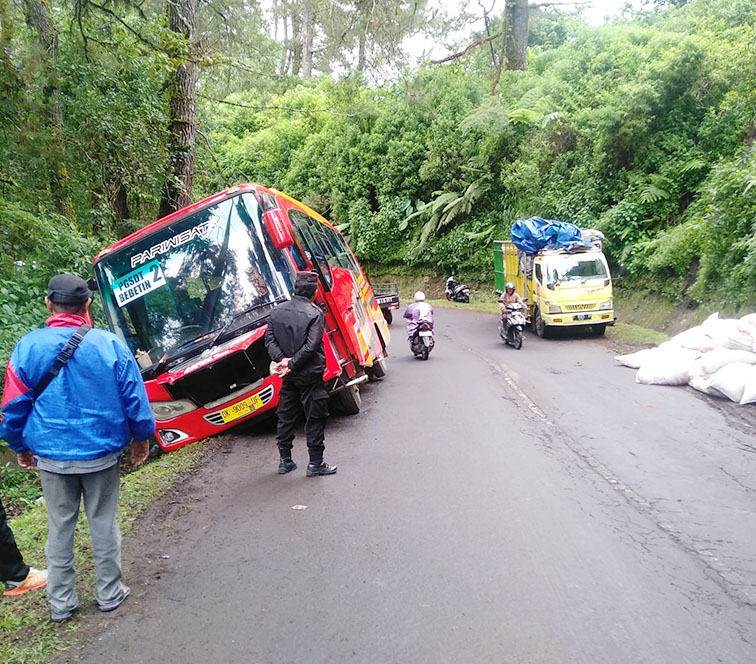 Bus Angkut Pemedek Terperosok di Jalur Kintamani-Singaraja - PATROLIPOST