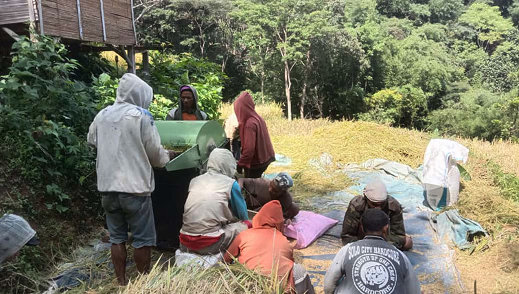 Leles, Tradisi Gotong-royong ala Manggarai yang Masih Lestari hingga ...
