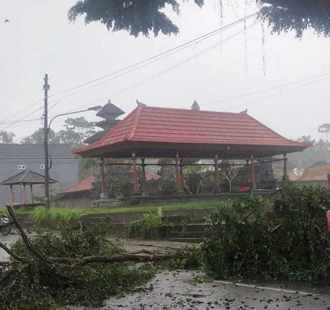 Hujan Deras Dua Hari di Bangli, Picu Pohon Tumbang dan Tanah Longsor - PATROLIPOST