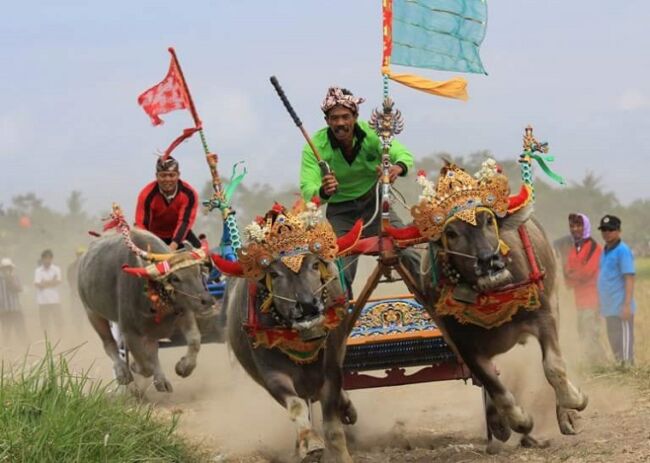 Dinas Pariwisata Bali Luncurkan Bali Calendar of Event 2024, Berikut ...